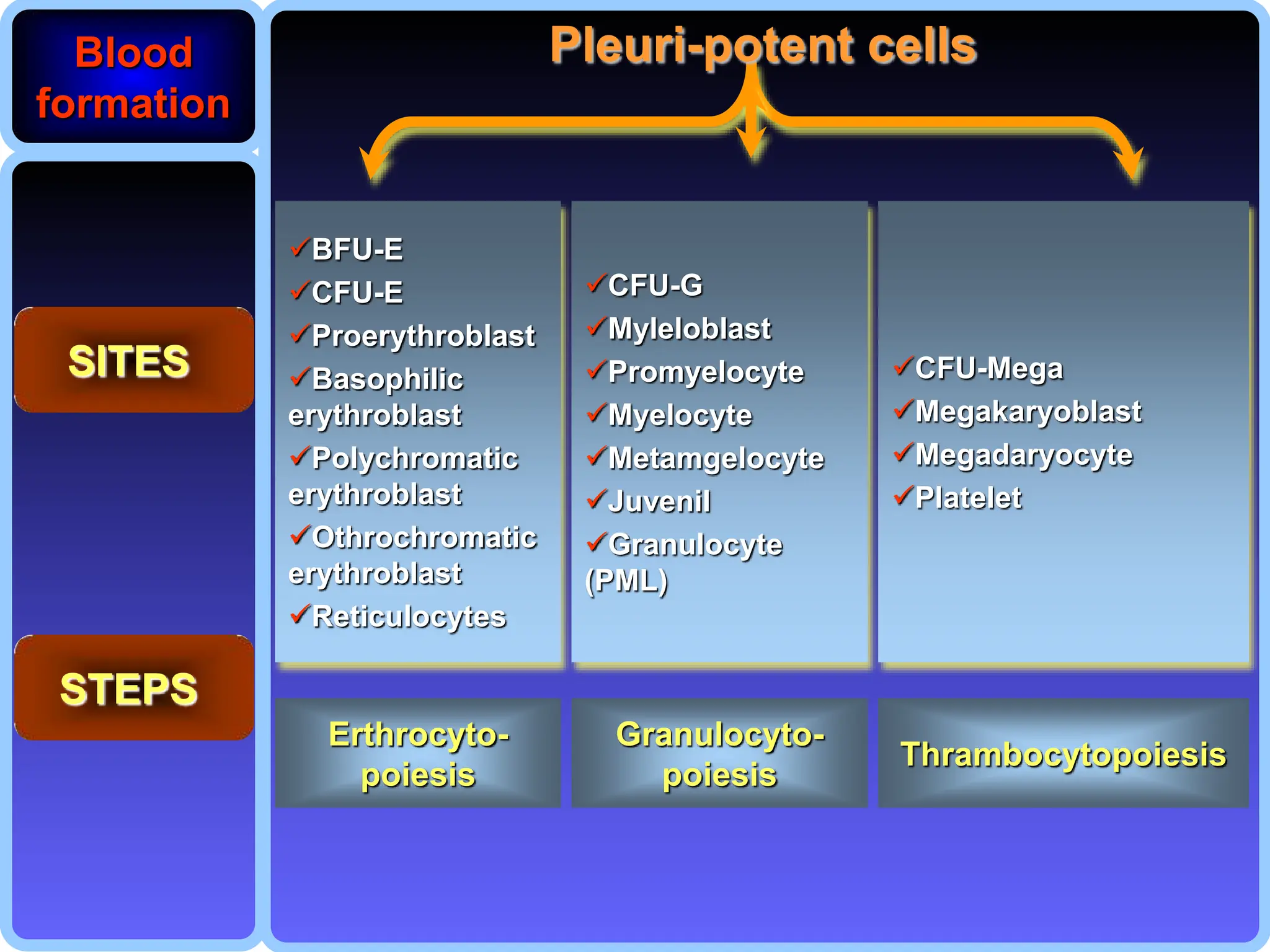Anemia.ppt presentation for General medicine | PPT