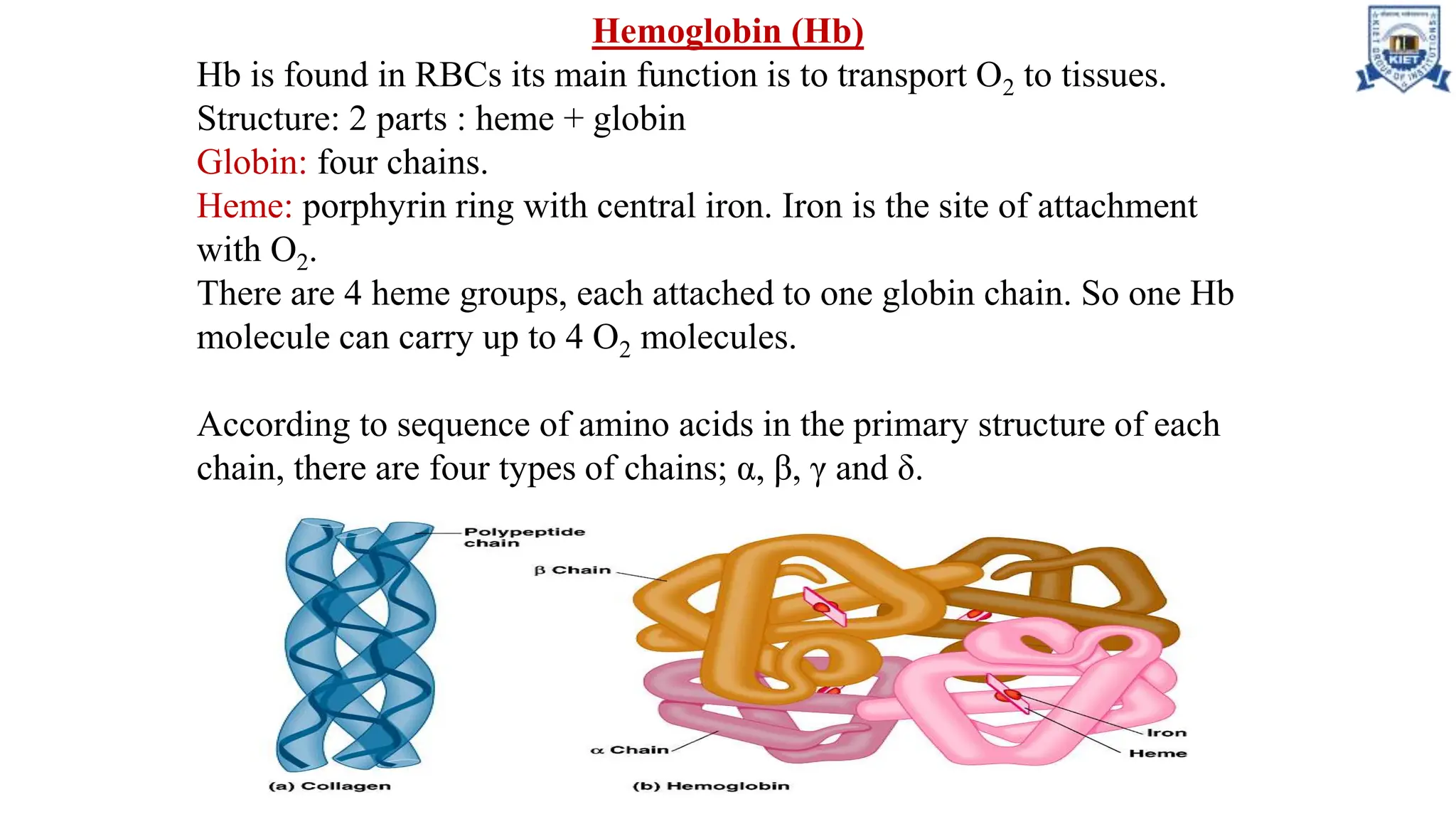 ANEAMIA DISEASE PHYSIOLOGY AND TREATMENT | PPT