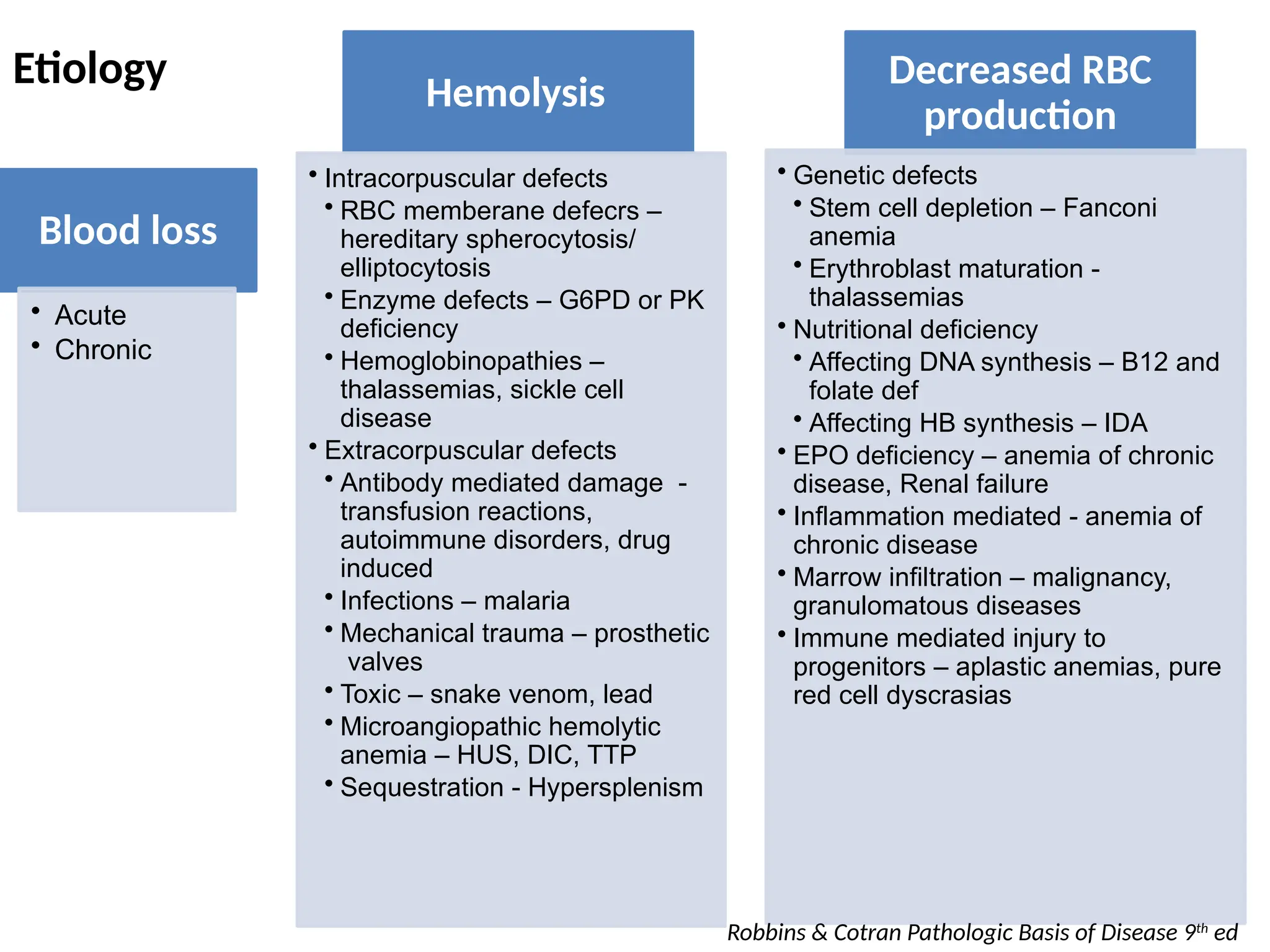 Anemia classification, basic lab diagnosis.pptx