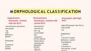 anemia. a physiological appraisal pptx | PPTX