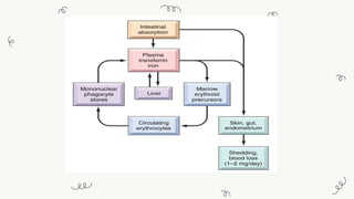 first-year MDS–level presentation on ANEMIA | PPTX