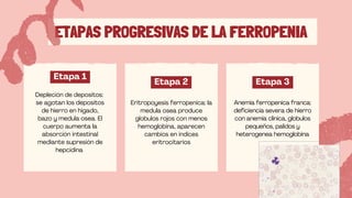 Generalidades de las anemia, hematologia | PDF