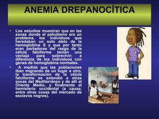 Anemia Expo | PPT