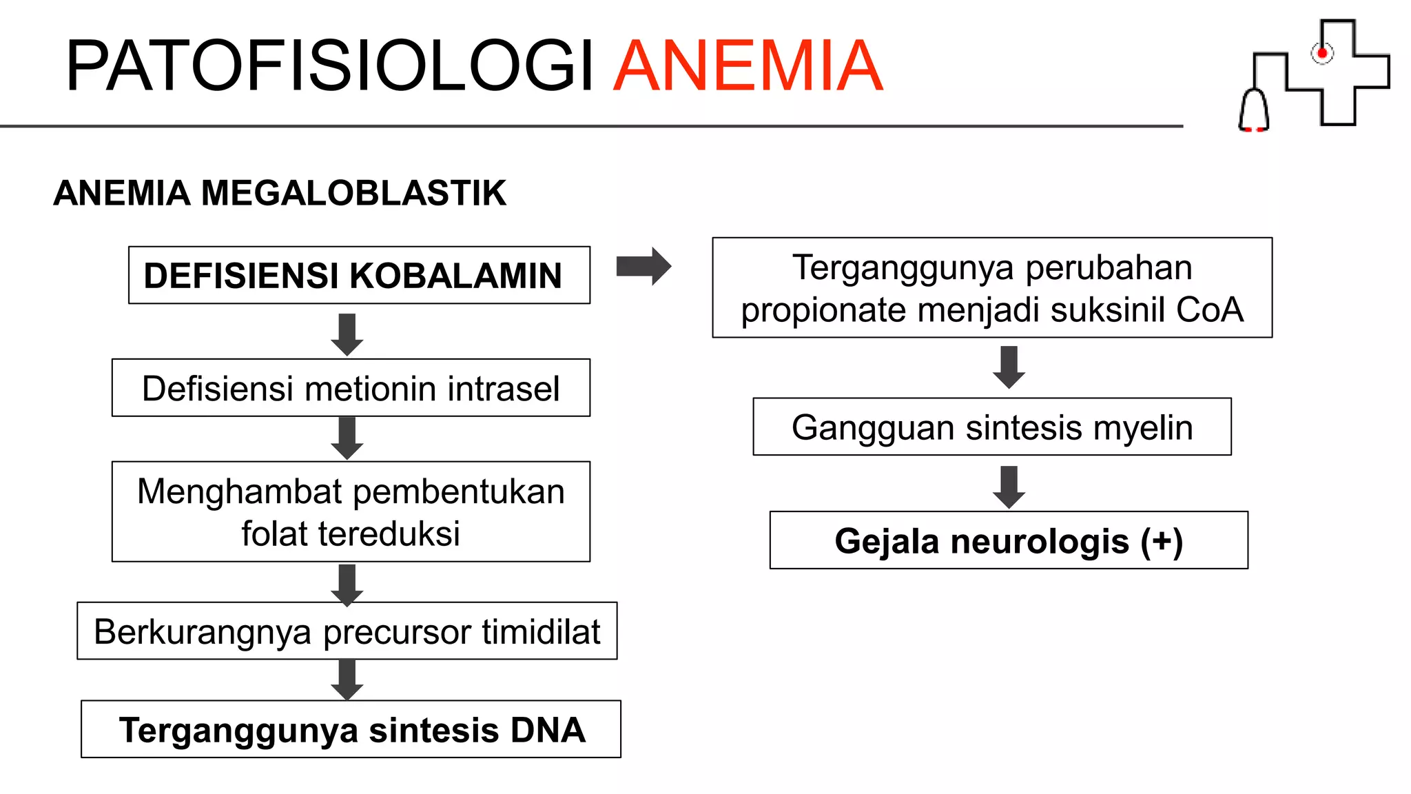 ANEMIA-INTRODUCTION.pptx