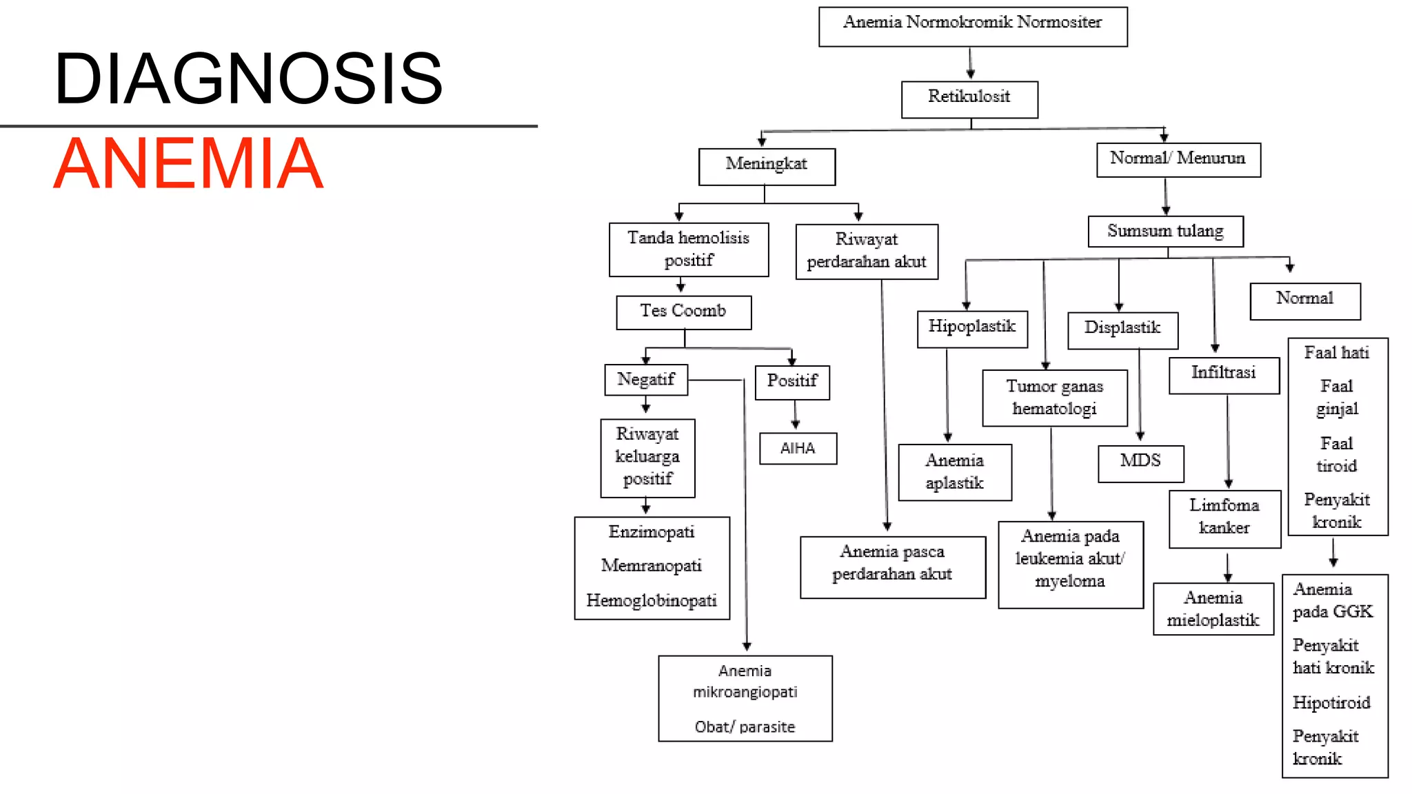 ANEMIA-INTRODUCTION.pptx