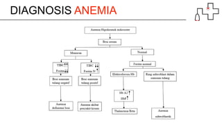 ANEMIA-INTRODUCTION.pptx