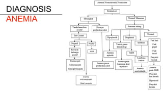 ANEMIA-INTRODUCTION.pptx