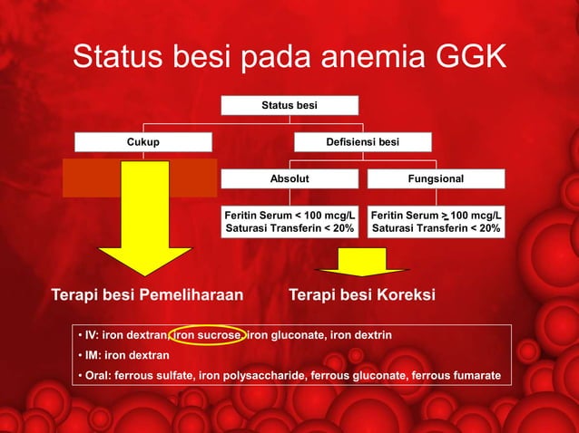 Anemia-Pada-Gagal-Ginjal-Kronik.ppt
