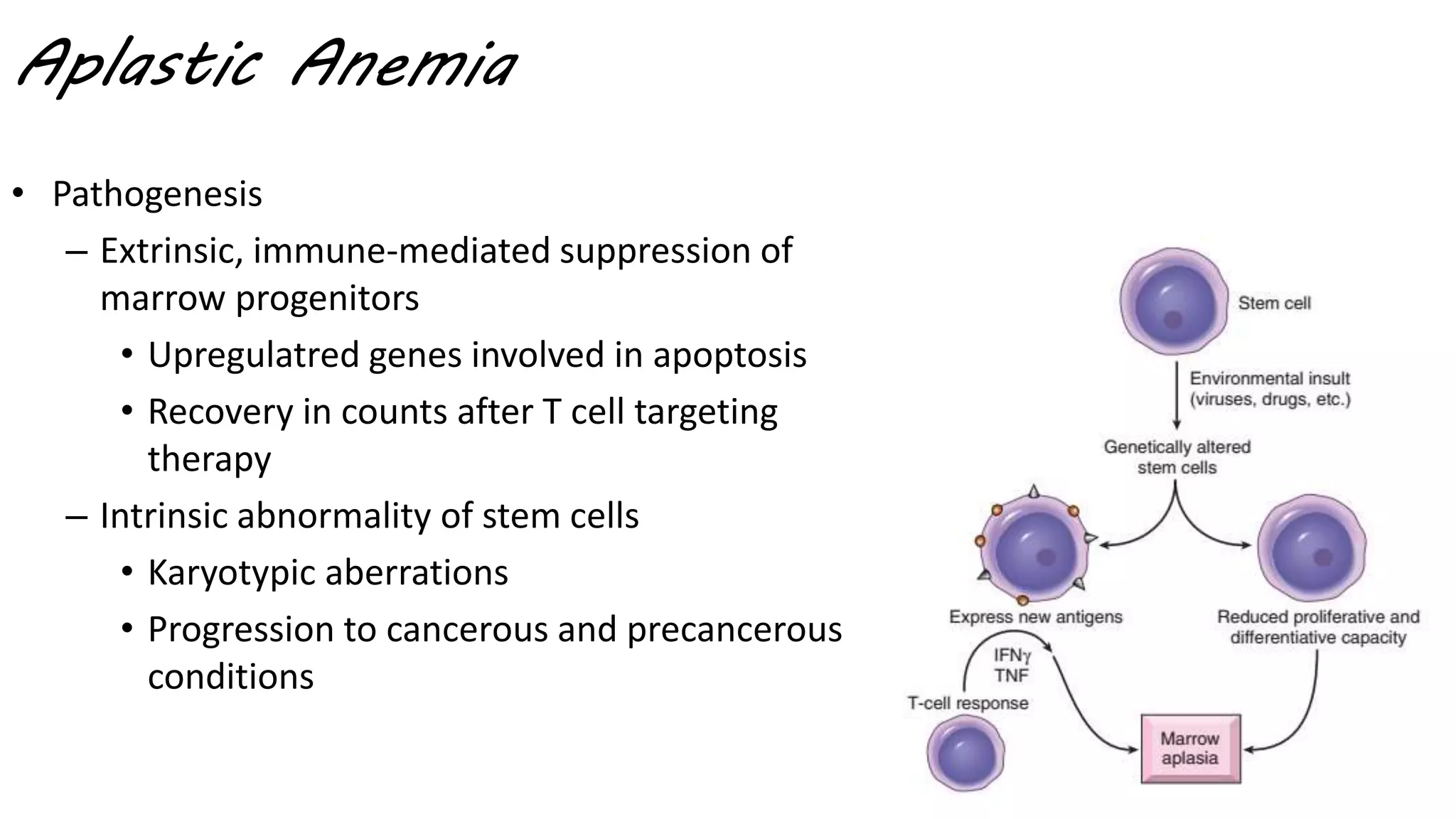 pathology of Anemia | PPTX