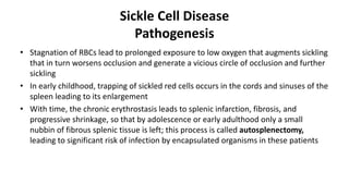 pathology of Anemia | PPTX