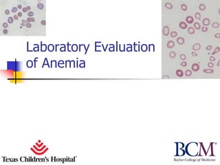 Anemia types and role of iron to raisese | PPT