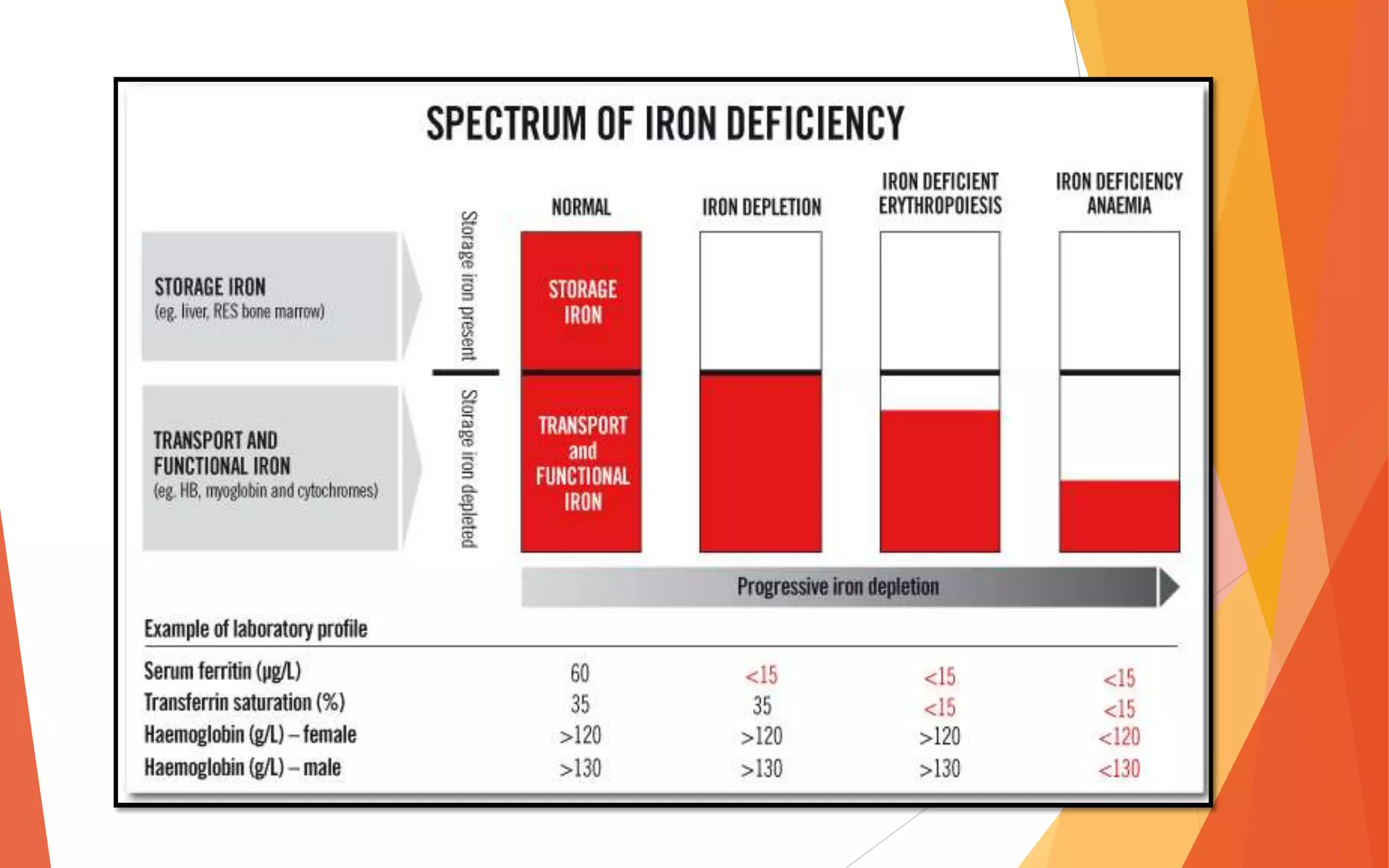 IRON DEFICIENCY ANAEMIA | PPTX