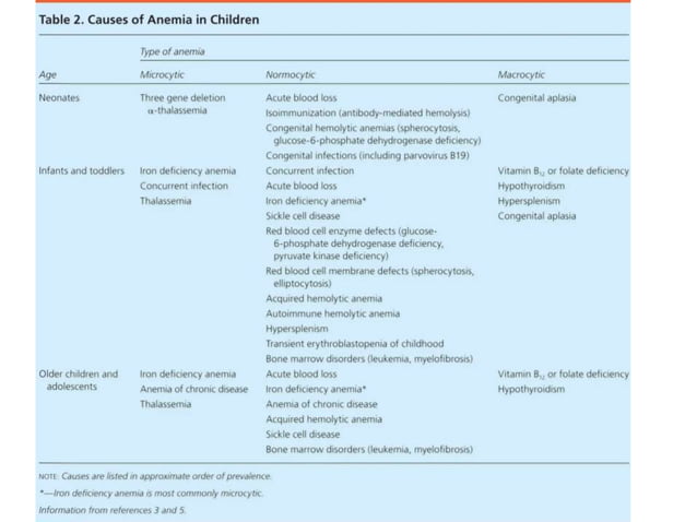 Anemia in children | PPTX | Blood Disorders | Diseases and Conditions