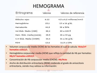 Anemia y Policitemia | PPTX