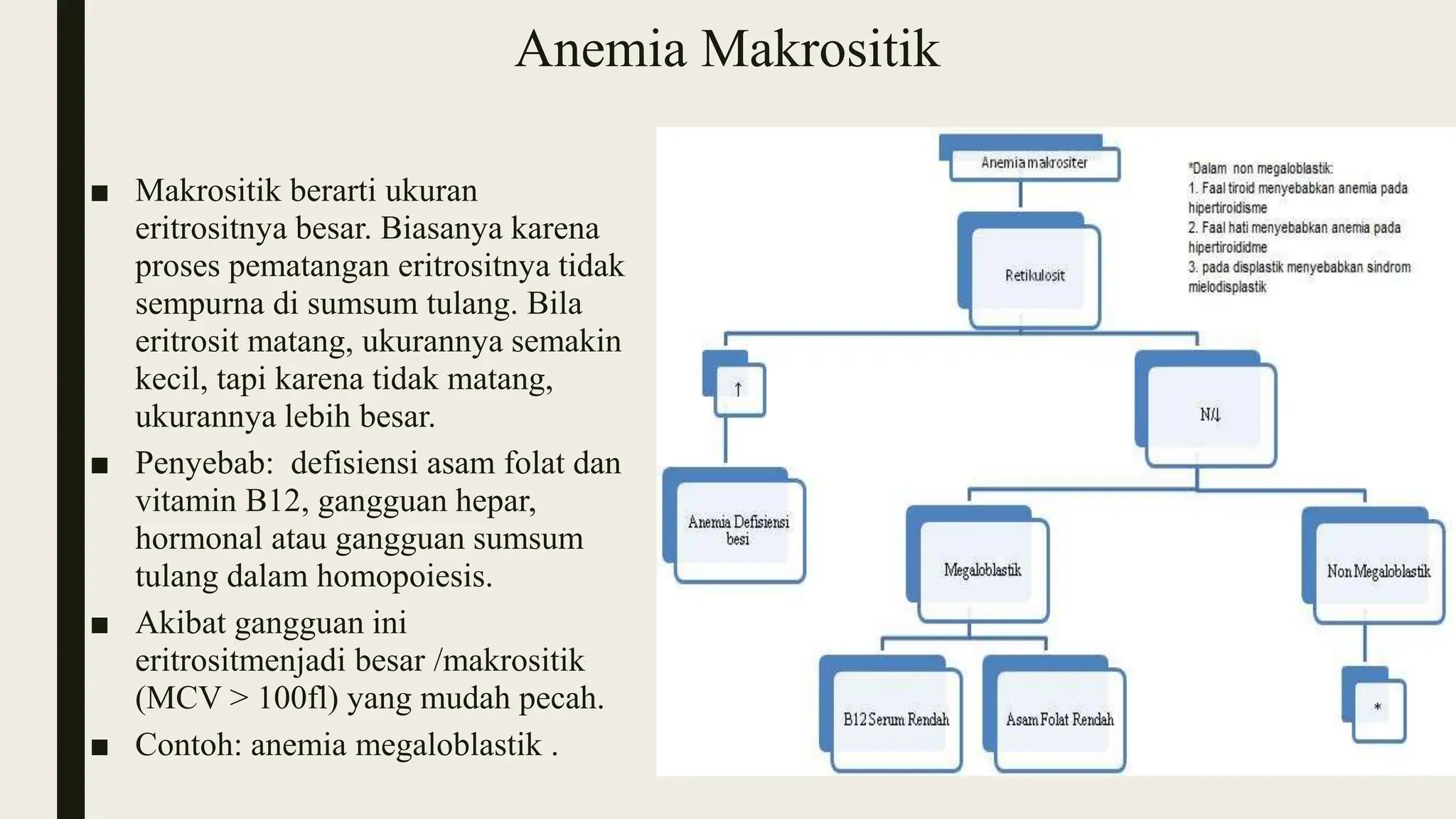 Anemia 26.11.22.ppt