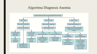 Anemia 26.11.22.ppt