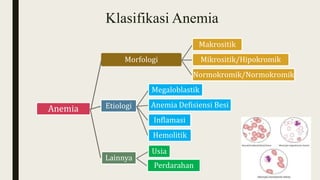 Anemia 26.11.22.ppt