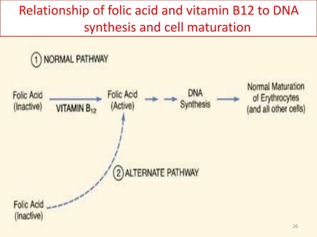 Anemia and antianemic drugs For med.pptx | Blood Disorders | Diseases ...