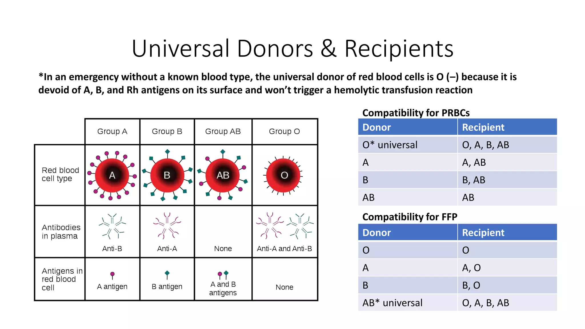 Anemia and Blood Transfusions | PPTX