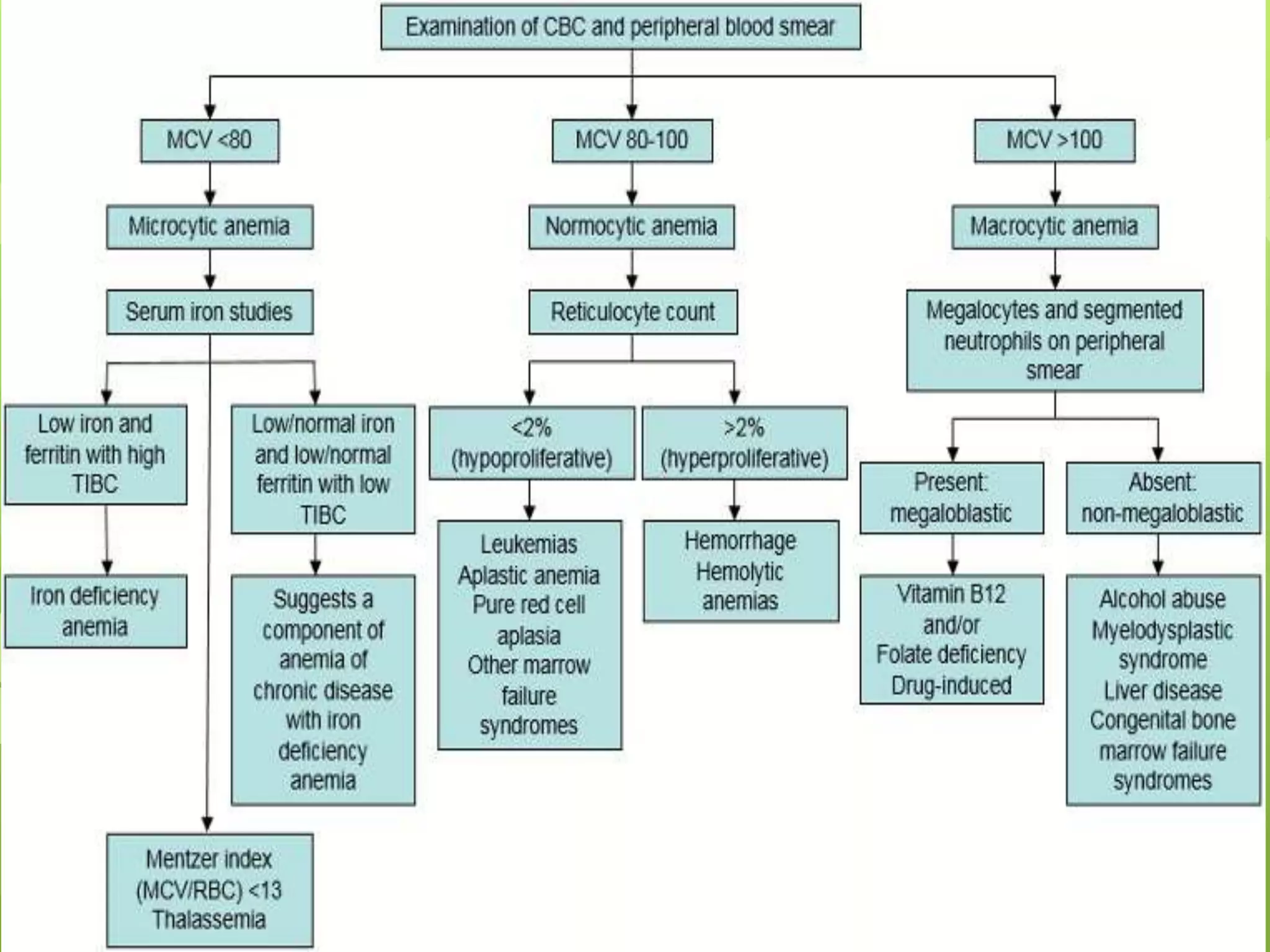 Anemia and its classification | PPTX