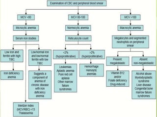 Anemia and its classification | PPTX