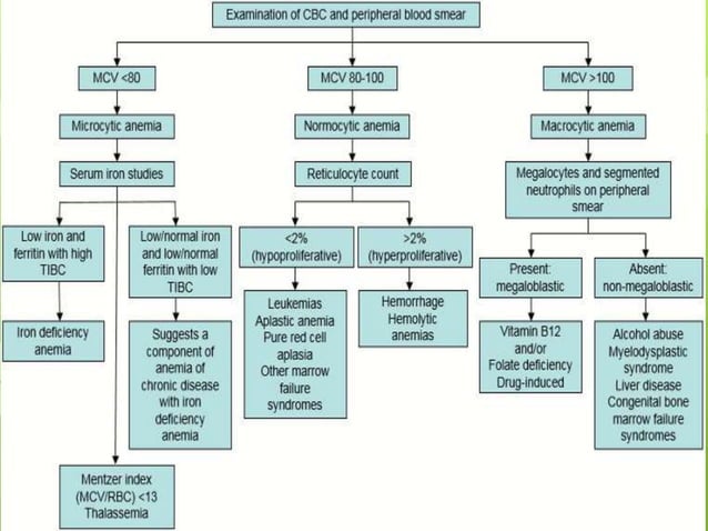 Anemia and its classification | PPTX
