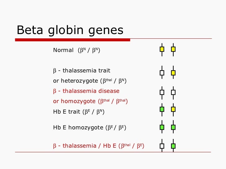 Anemia and thalassemia