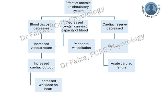 Anaemia & Polycythaemia Physiological Basis | PDF