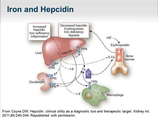Anemia in CKD | PPTX