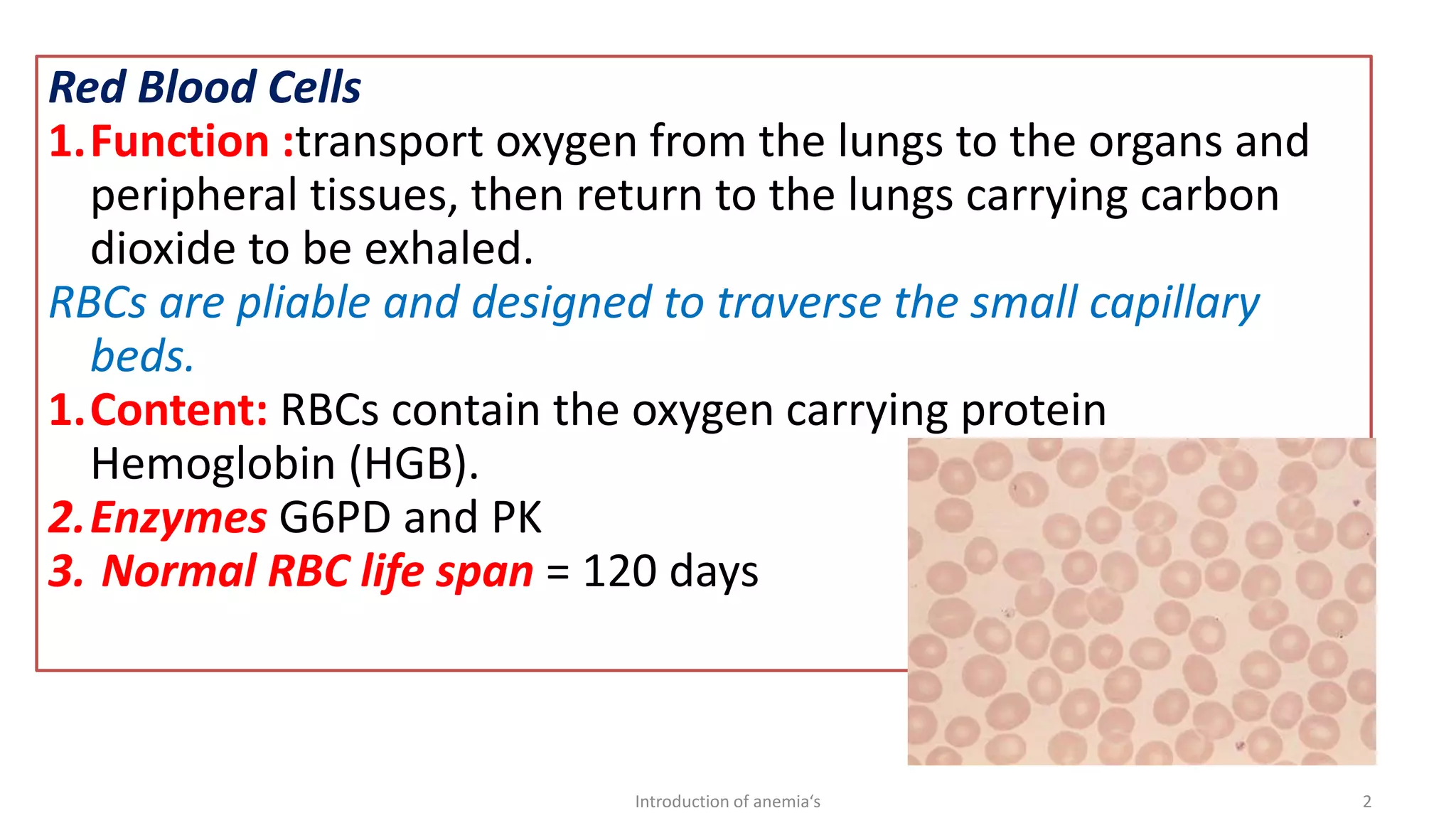 Anemia Classification and Investigation Tests.pdf | Blood Disorders ...