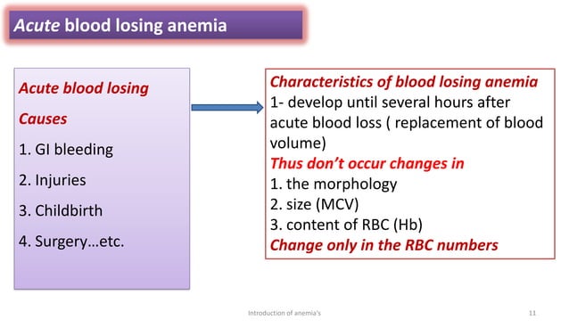 Anemia Classification and Investigation Tests.pdf