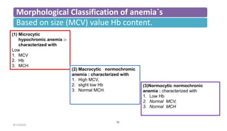 Anemia Classification and Investigation Tests.pdf