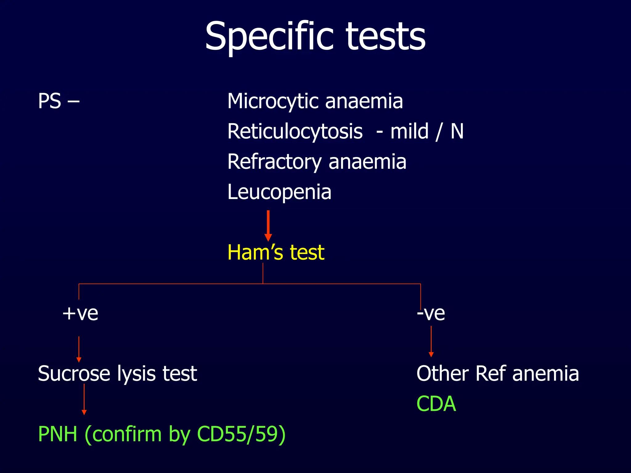 Anemia classification & pathogenesis.ppt
