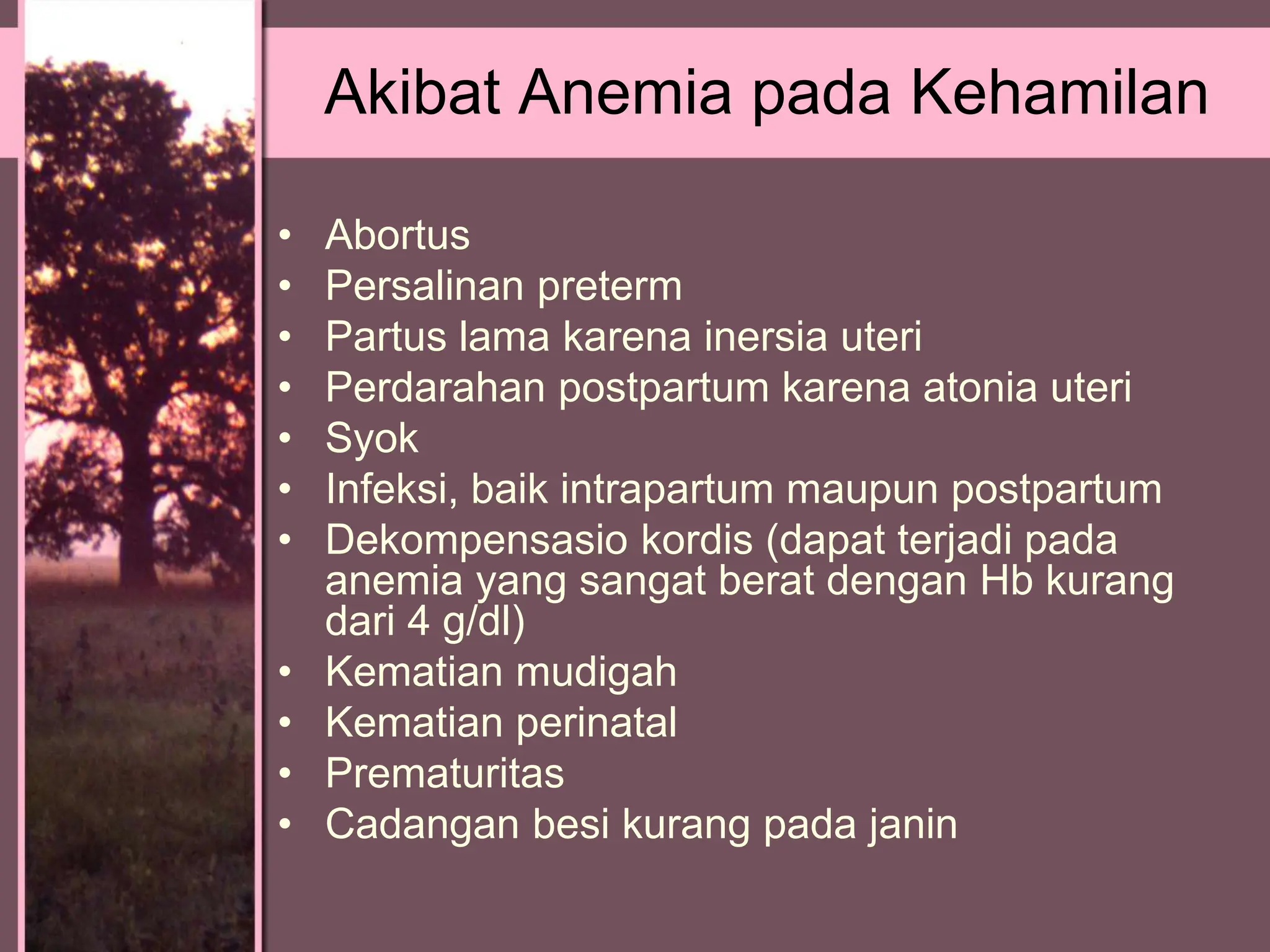 Anemia dalan kehamilan anemia in pregnancy.ppt