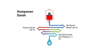 Anemia dan Transfusi Darah Rasional.pptx