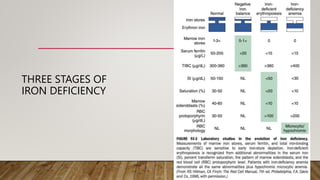 Anemia Def Fe atau Anemia Inflamasi.pptx