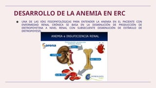 ANEMIA DE LOS PADECIMIENTOS CRONICOS ENFERMEDAD RENAL CRONICA | PPTX
