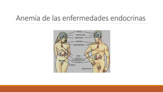 Anemia de los padecimientos no hematológicos | PPTX