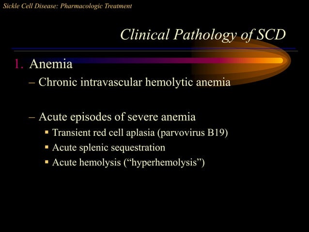 Anemia presentation for medical students | PPT | Blood Disorders ...