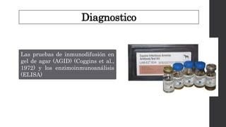 Anemia infecciosa equina | PPTX