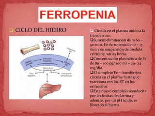 Anemia ferropénica y megaloblástica | PPTX