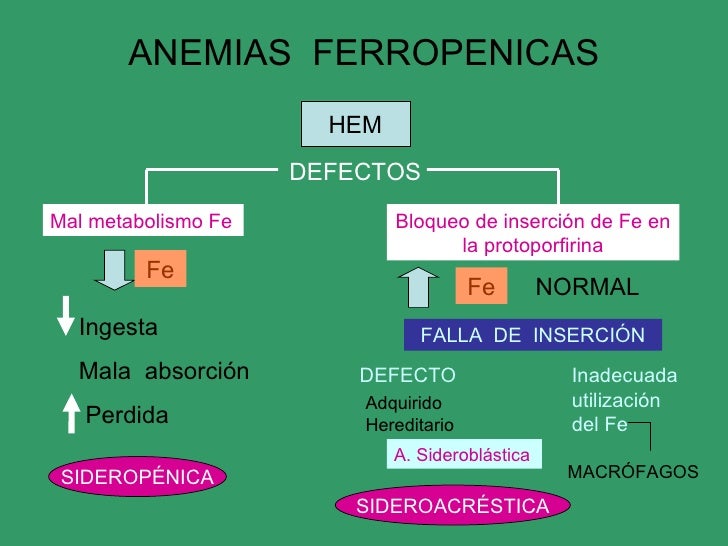 Anemia Ferropenica Valores _ Anemia Ferropénica Pdf – BTRQ