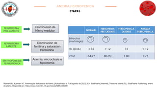 anemia ferropenica, principales carracteristicas, tipos.pptx