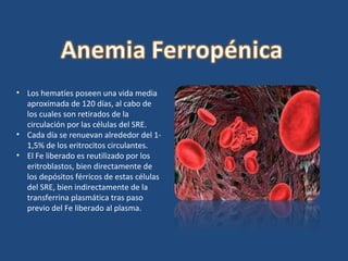 Anemia ferropenica | PPT