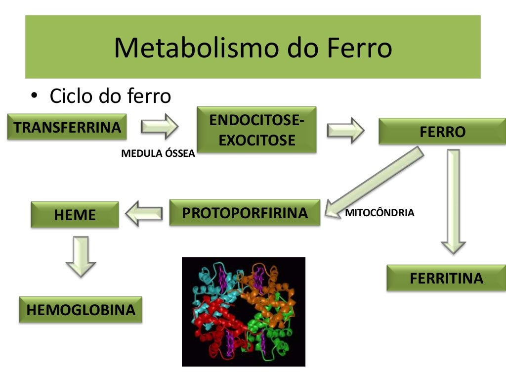 Fisiopatologia Da Anemia Ferropriva - RETOEDU