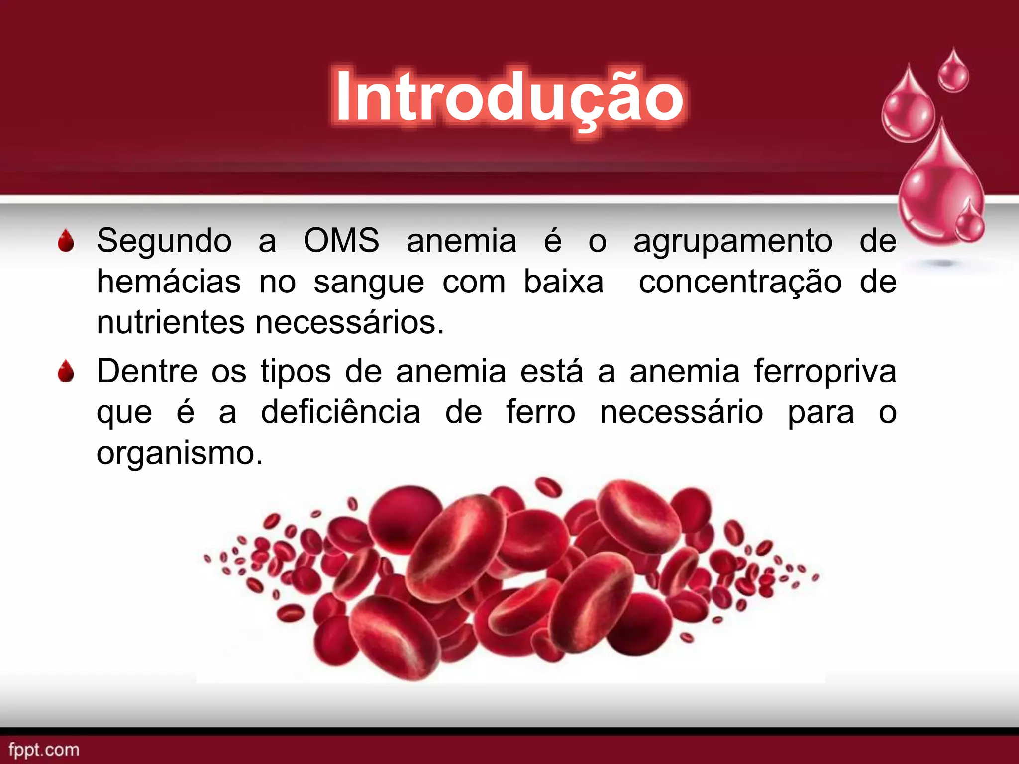 Anemia ferropriva | PPTX | Blood Disorders | Diseases and Conditions