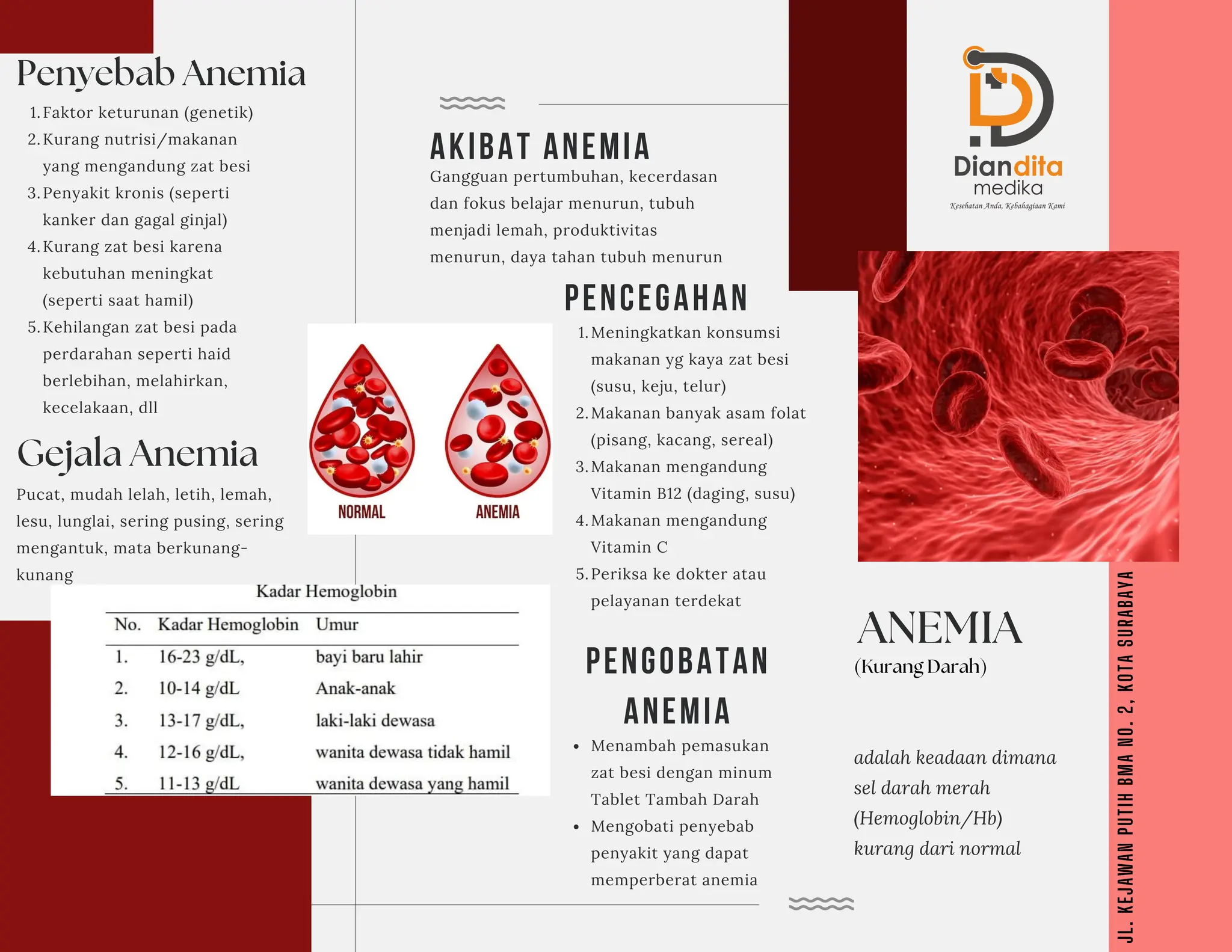 anemia fix neww.pdf