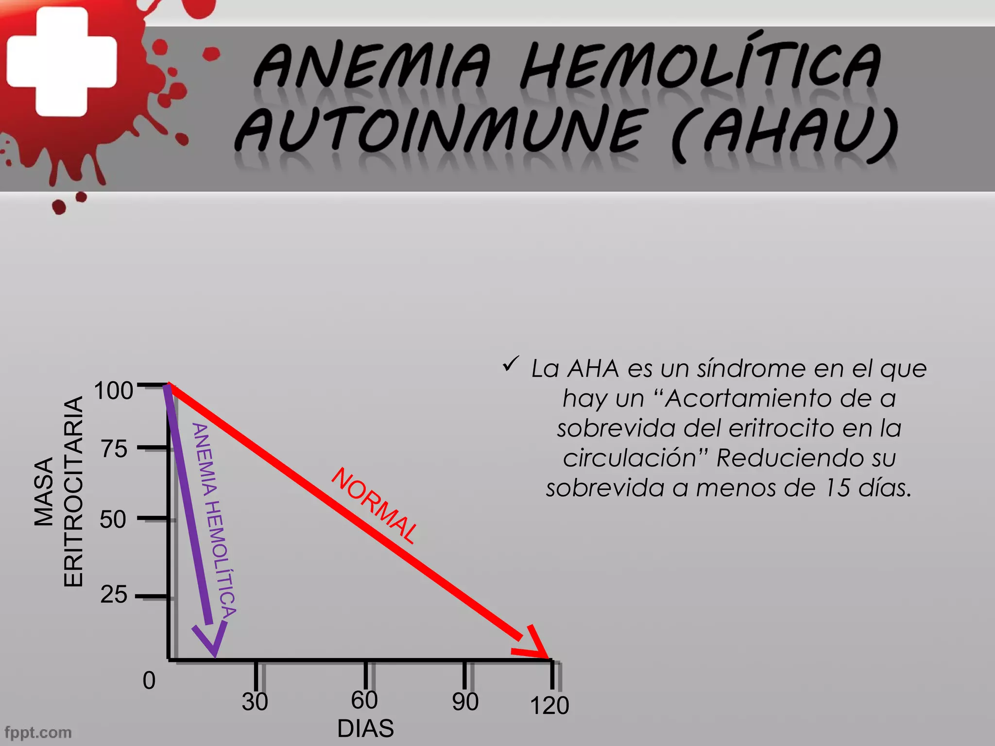 Anemias Hemoliticas Adquiridas (AHA) | PPT | Blood Disorders | Diseases ...