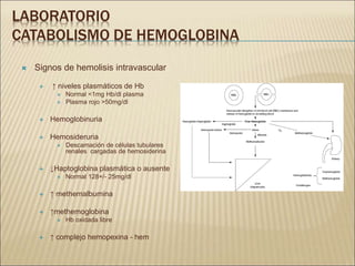 Anemia hemolitica | PPT