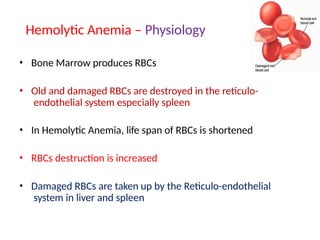 Anemia Hemolitik pada anak update 2024.pptx